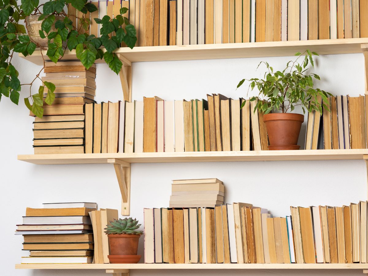 8 Tips How to Build a Home Library on a Budget - Ambrella Art